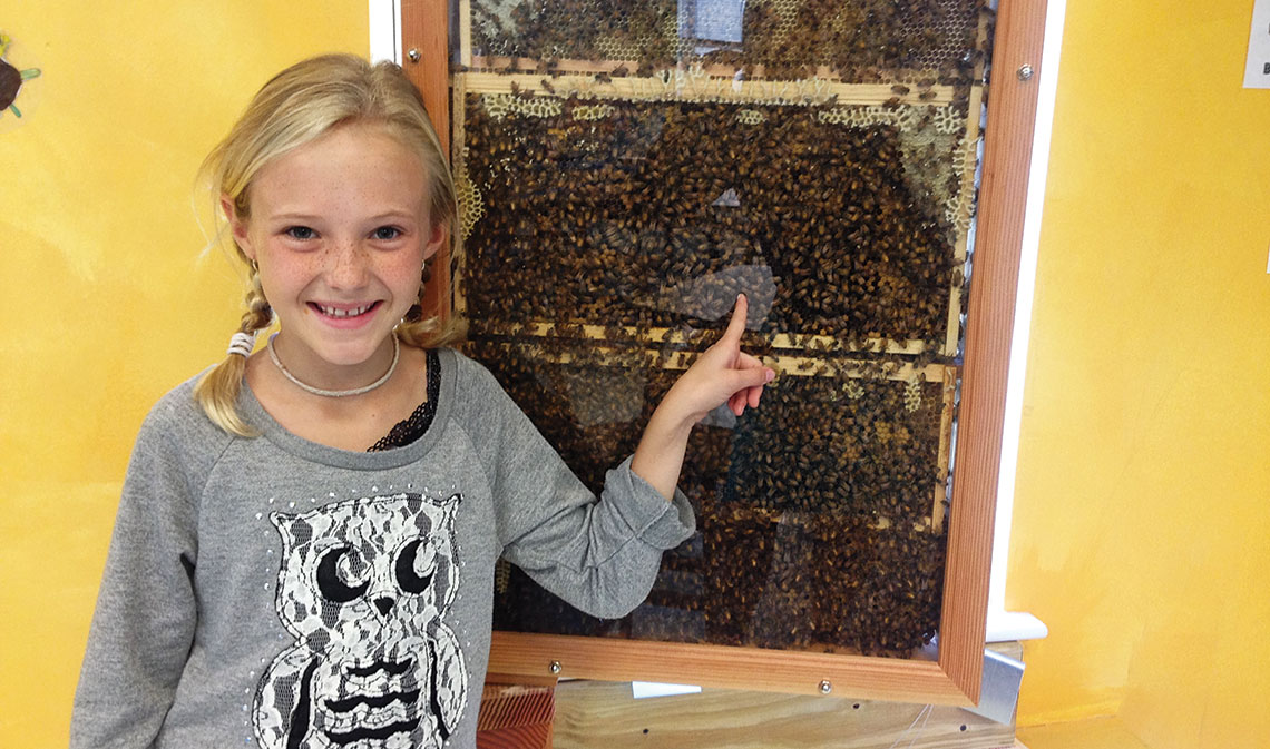 The New Bee Bubble - Edible Austin