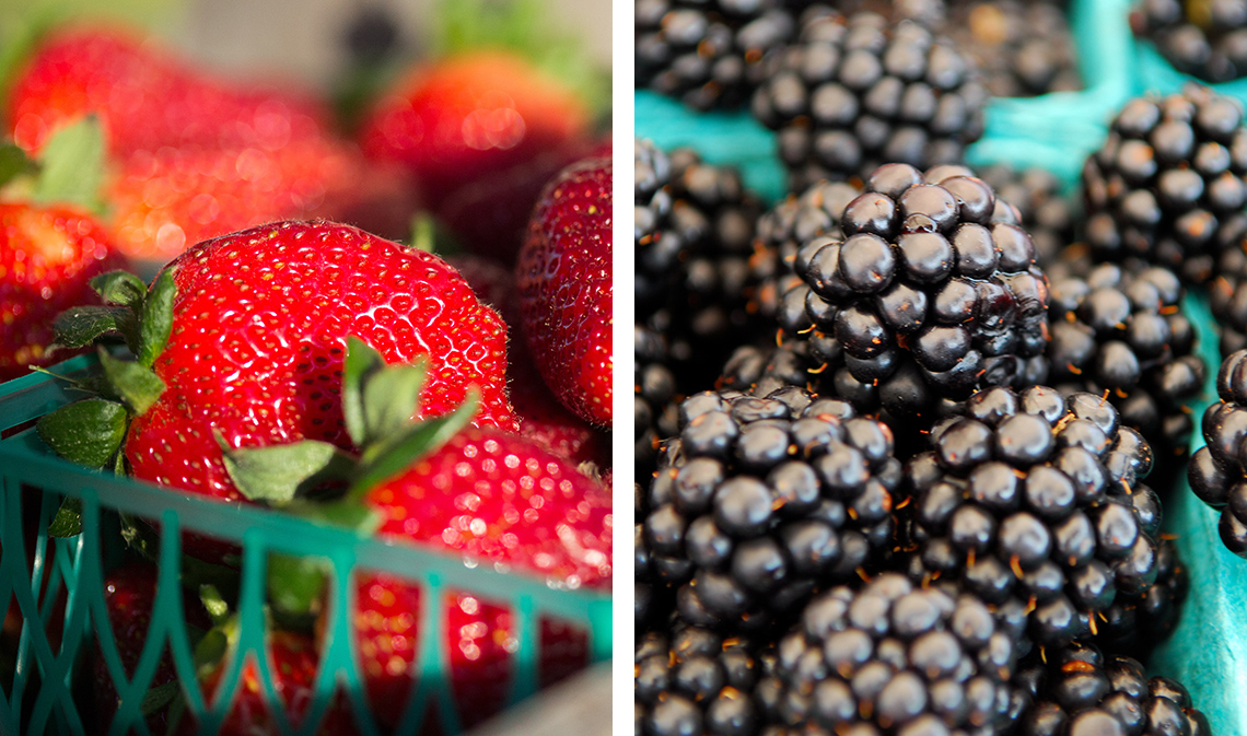 Berry Hunting - Edible Austin