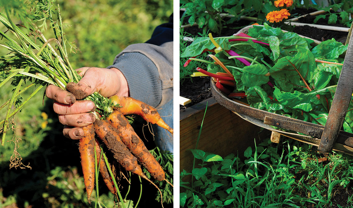 Home Growers Give Back - Edible Austin