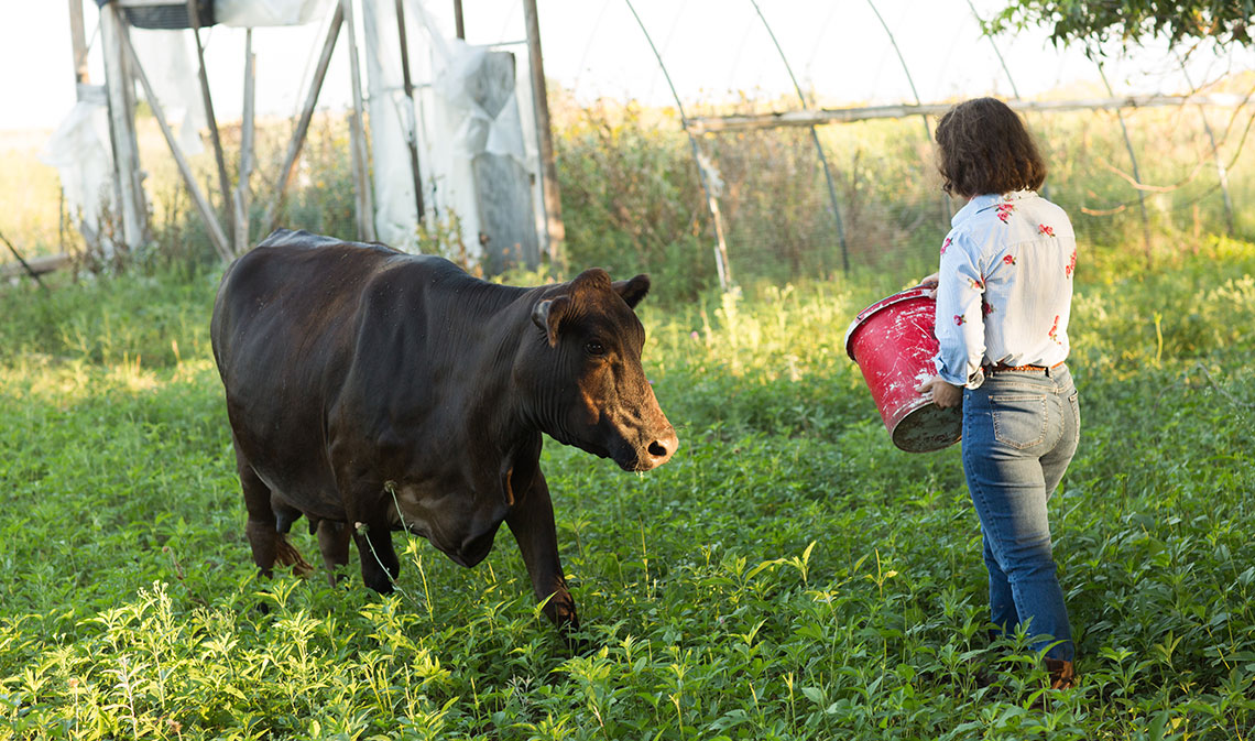 Hat & Heart Farm - Edible Austin