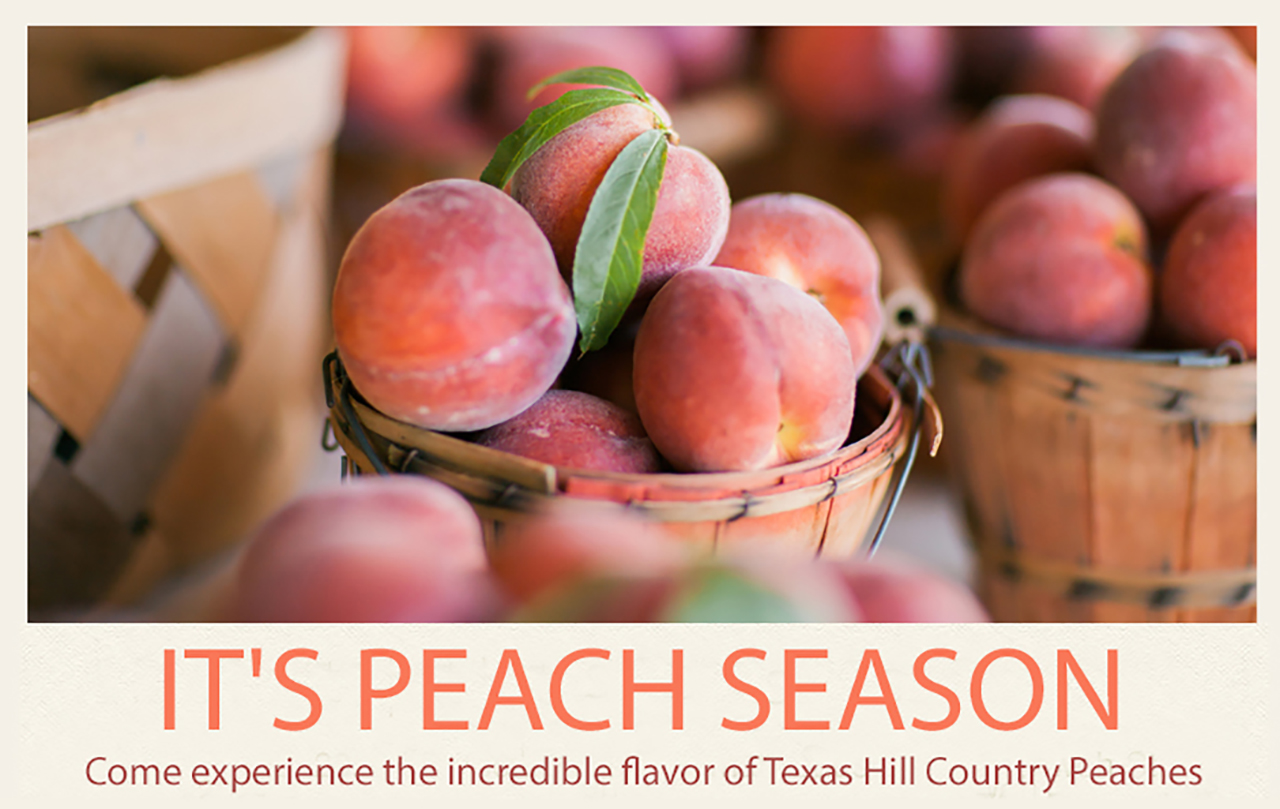 Texas Hill Country Peach Season Is Here, Y’all! - Edible Austin