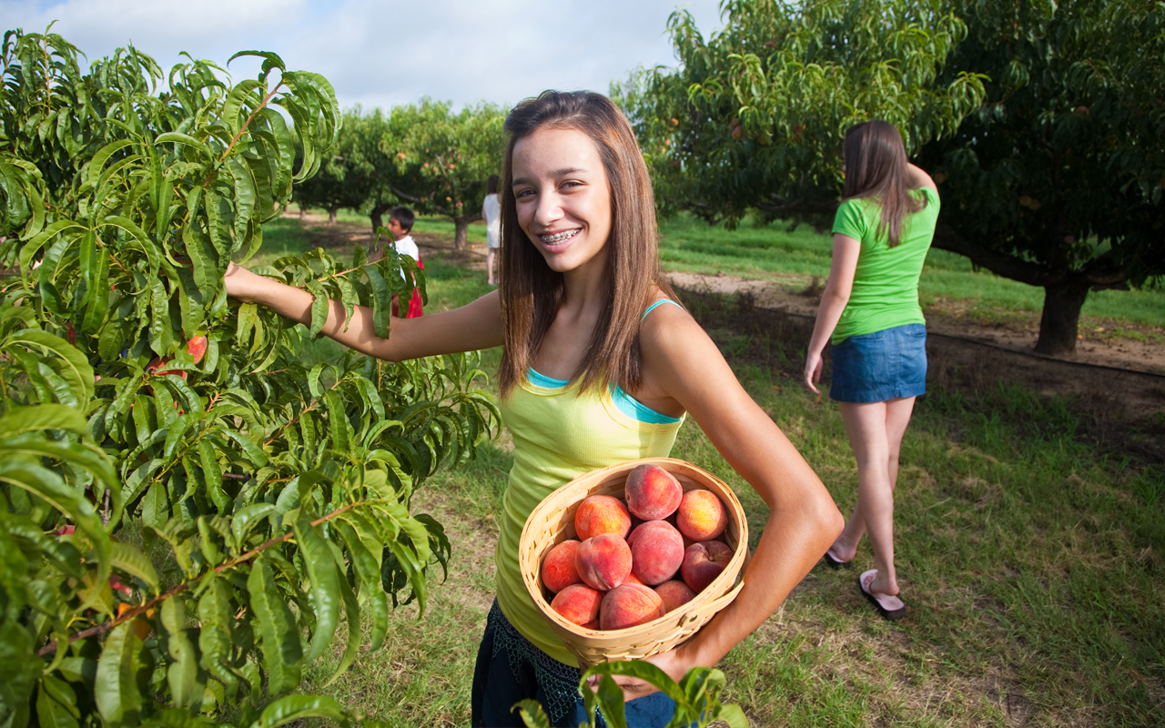 Family Fun is Just Peachy is Fredericksburg - Edible Austin