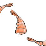 Shrimp Stock - Edible Austin