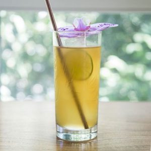 The a.k.a Pineapple-Coconut Mai Tai - Edible Austin