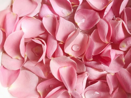 Chilled Rose Soup - Edible Austin