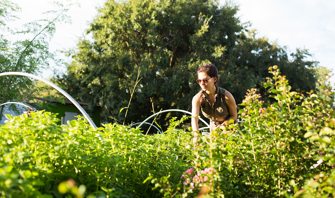 La Flaca Farm - Edible Austin