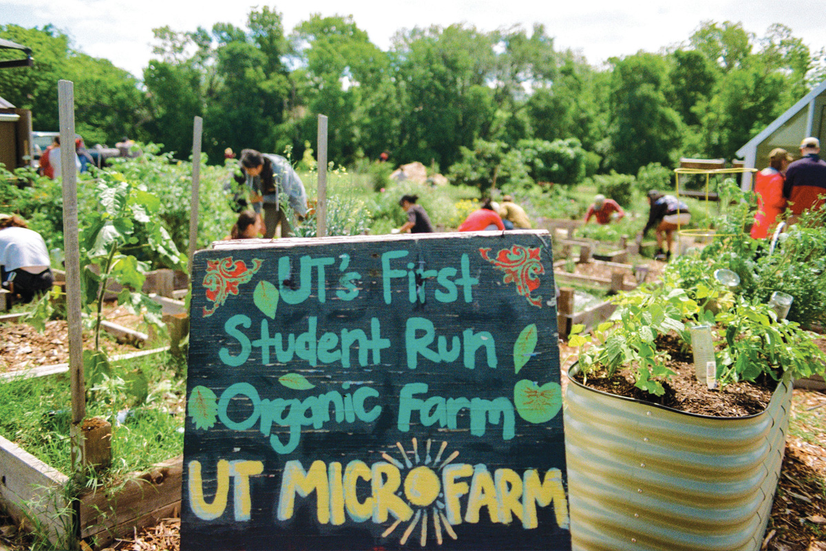 Edible Austin - Edible Austin